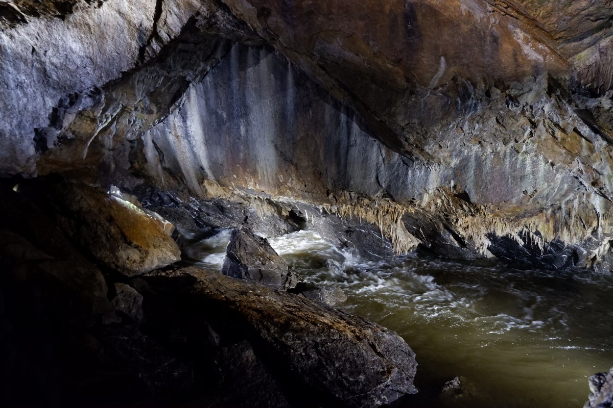 Wildpark en kalkgesteenten in : Domein ‘de grotten van Han ...