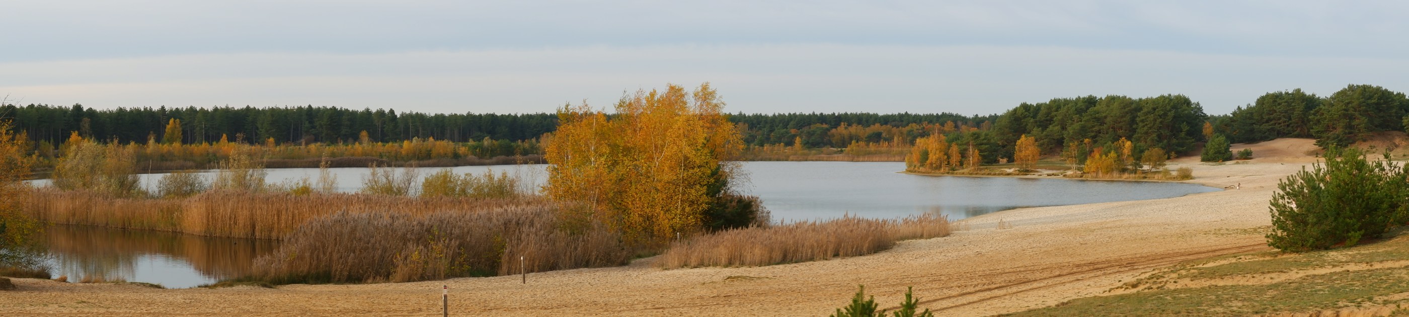 Lommelse Sahara, Lommel (BE) – StudioBenelux.com