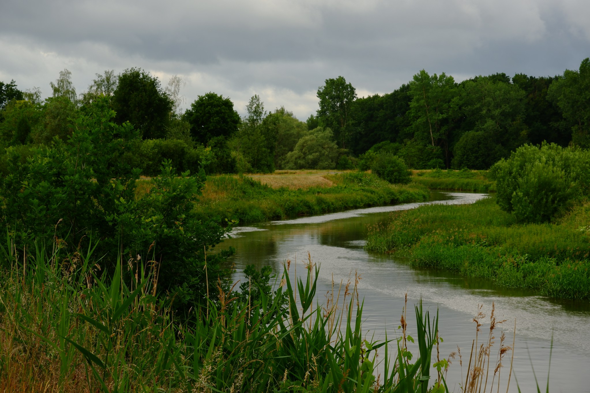 Kesselse Heide, Nijlen (BE) – StudioBenelux.com