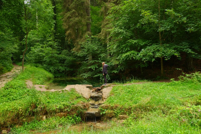 Wandelroute C2 vanuit Consdorf – StudioBenelux.com