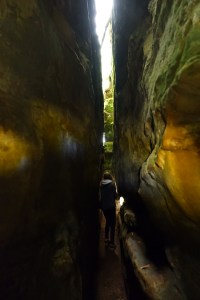 Wandelroute C2 vanuit Consdorf – StudioBenelux.com