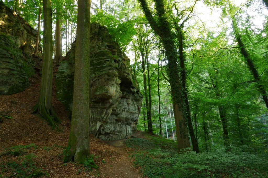 Wandelroute C1 rond Consdorf – StudioBenelux.com