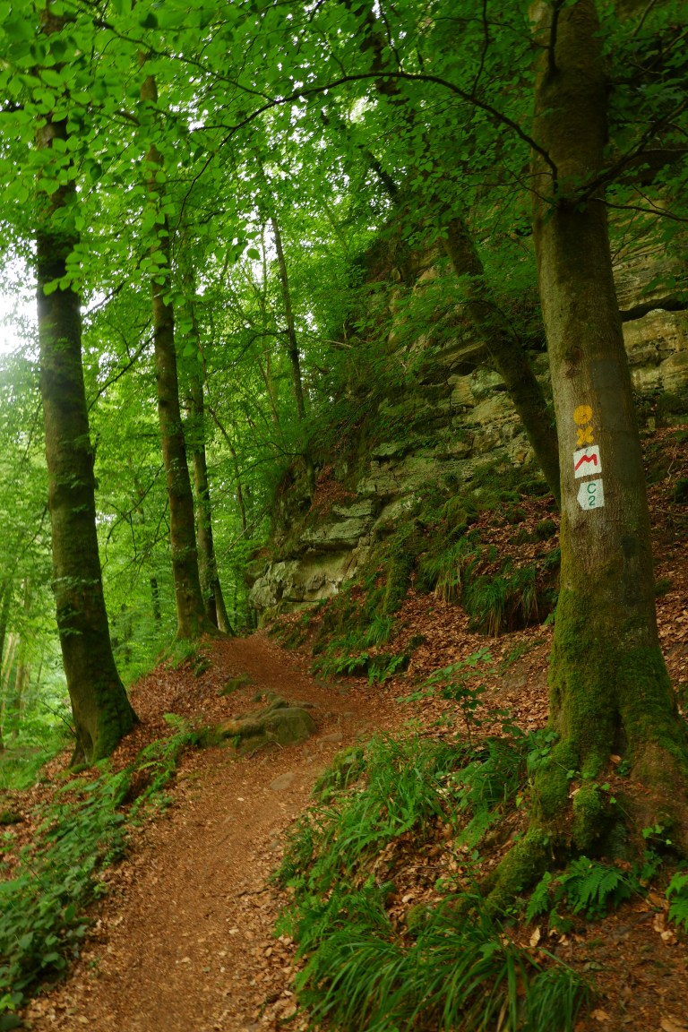 Wandelroute C2 vanuit Consdorf – StudioBenelux.com