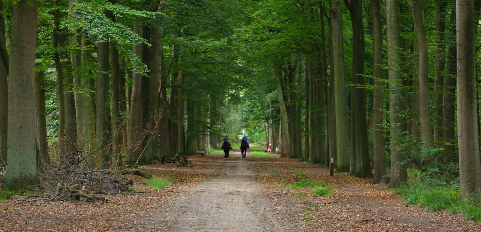 Wandelen en fietsen in Westerlo – StudioBenelux.com
